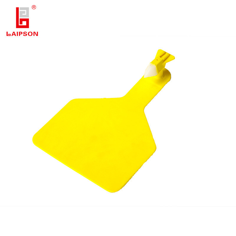 Flexible Blank Plastic Z Tag Cattle Ear Tags , Animal Identification ...