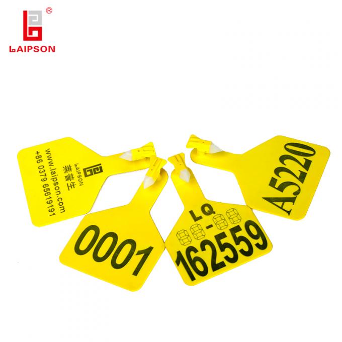 Flexible Blank Plastic Z Tag Cattle Ear Tags , Animal Identification ...
