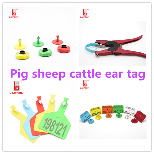 Customizable 5m UHF RFID Livestock Animal Ear Tags For Cattle Sheep Pig